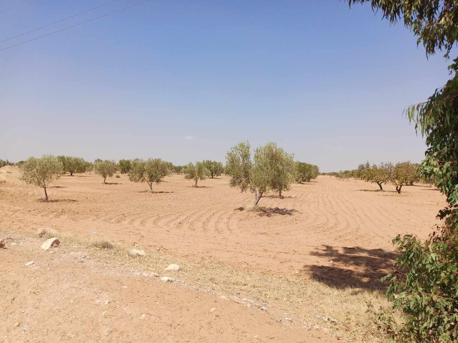 Ministère Des Domaines De Letat Récupération Dun Terraindomanial